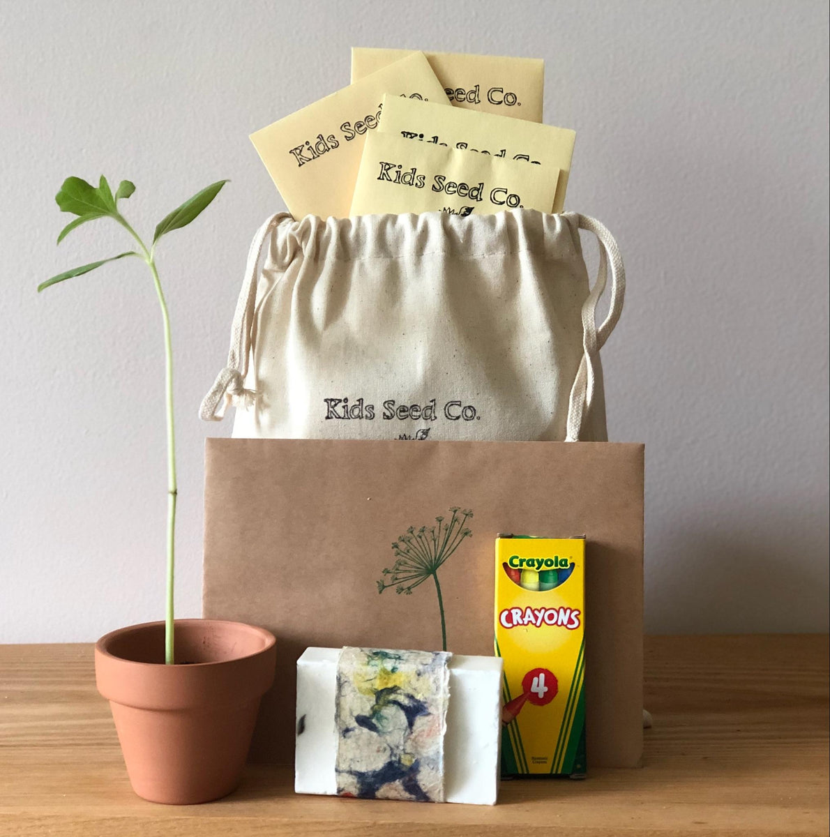 Mother's Day Garden Gift Set- A unique gift for mom from Kids Seed Co.