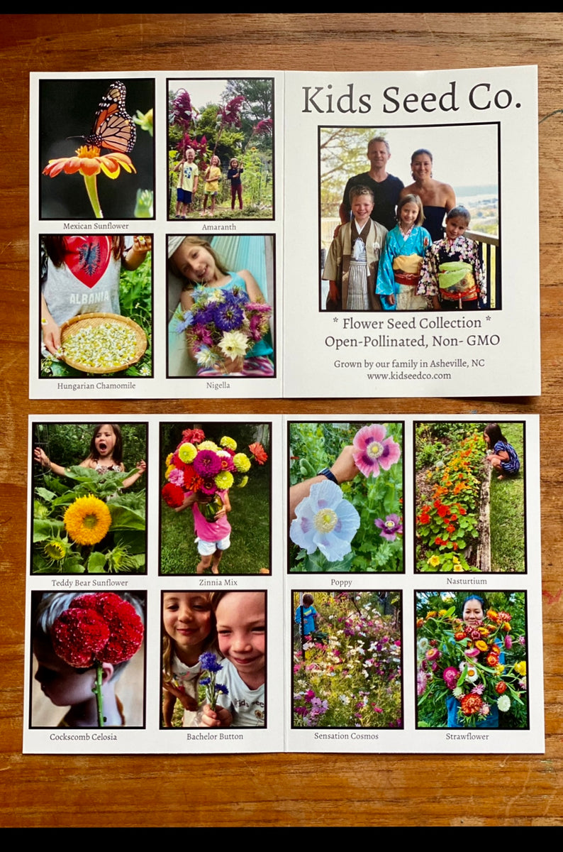 Flower Seed Gift Collection – Kids Seed Co.