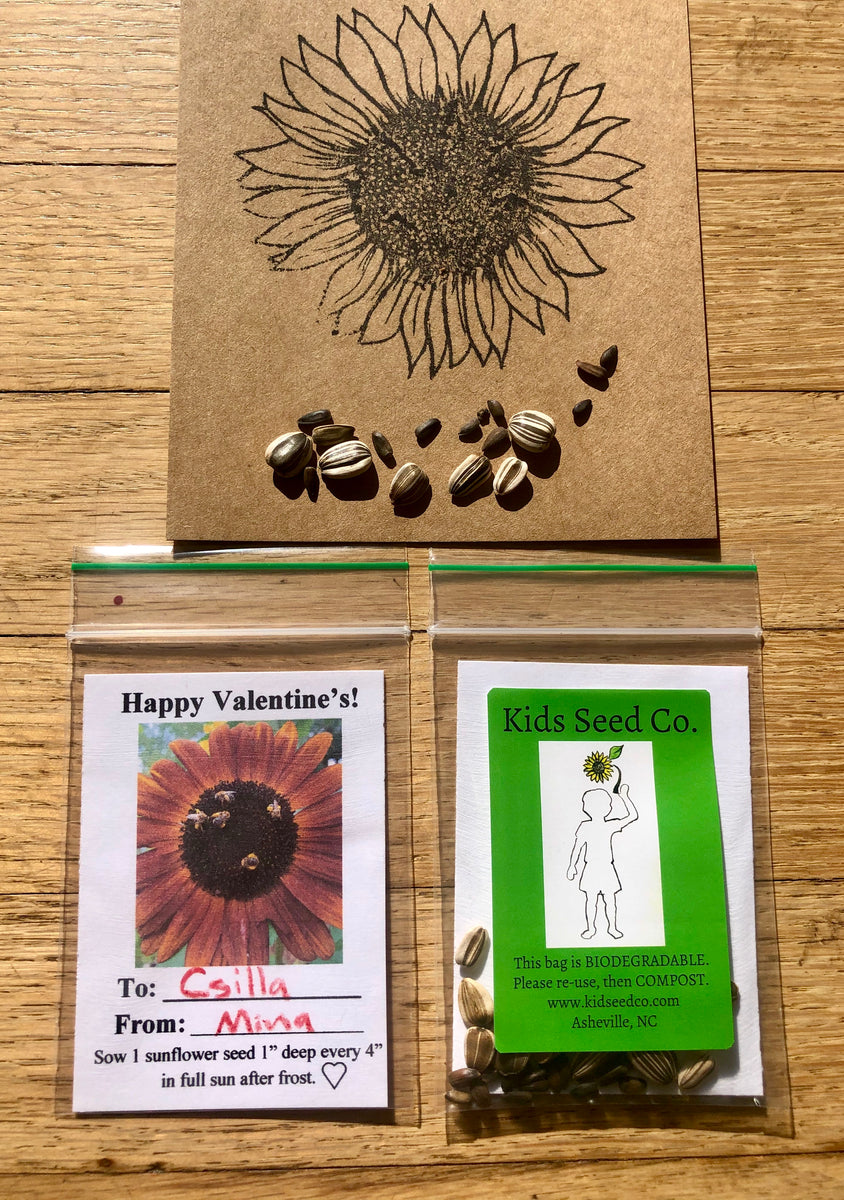 Valentine's Day Sunflower Seed Packs – Kids Seed Co.