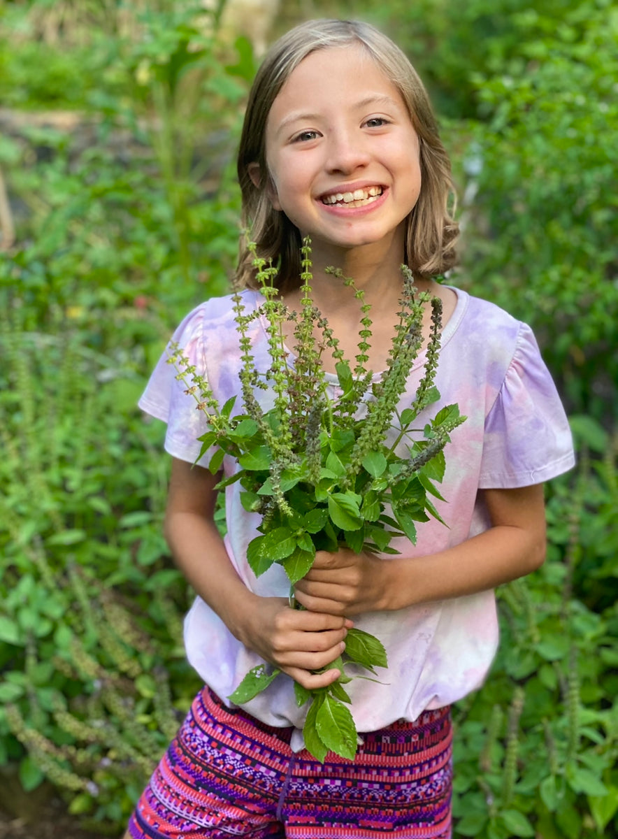 Tulsi / Holy Basil - Heirloom Seeds – Kids Seed Co.