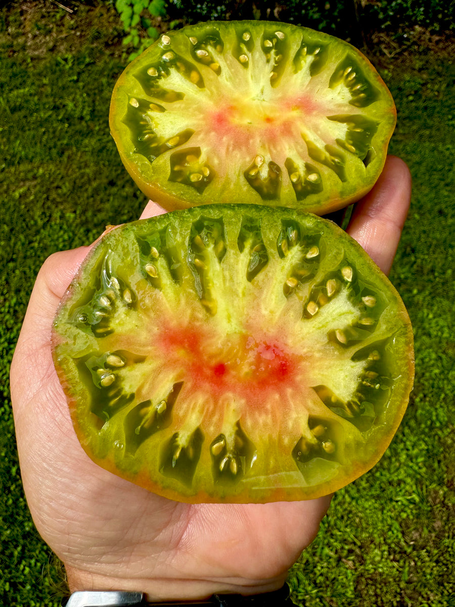 Tomato (Ananas Noire Tomato) – Kids Seed Co.